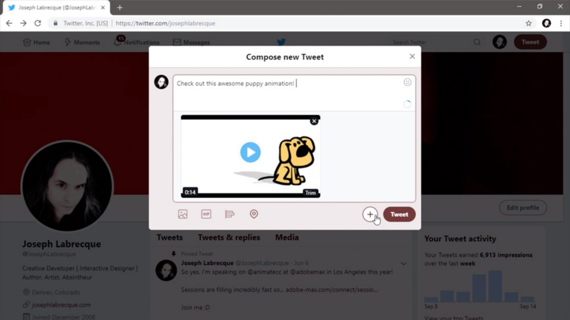 Adobe Learn - Learn Animate Design social media content